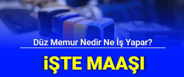 Düz Memur Nedir? - BiBlog