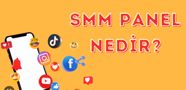 SMM Panel Ne Kadar Kazanır? - BiBlog
